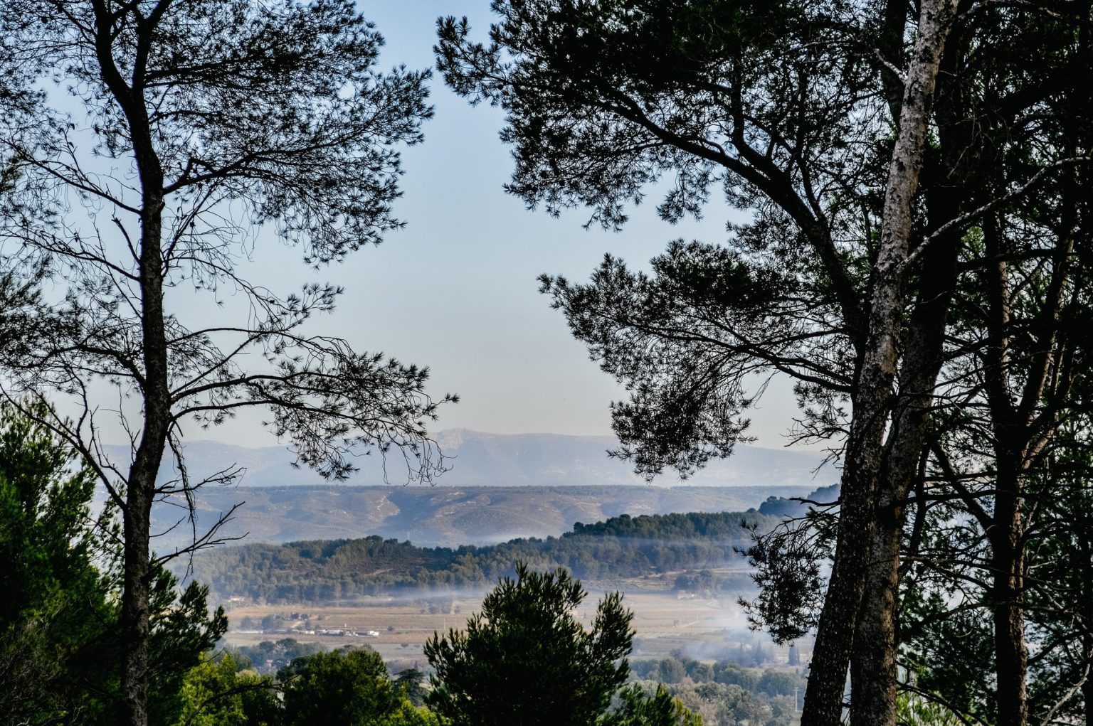 A stroll through Bandol - Simply Blessed Shy